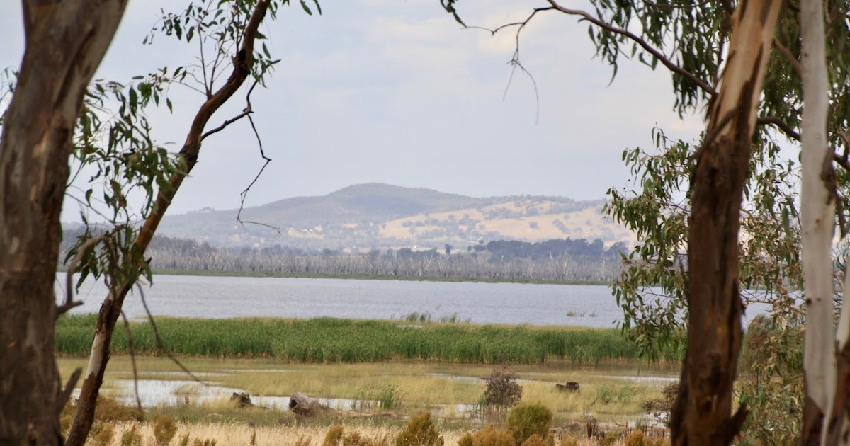 RDO Melbourne: Winton Wetlands Landscape Art