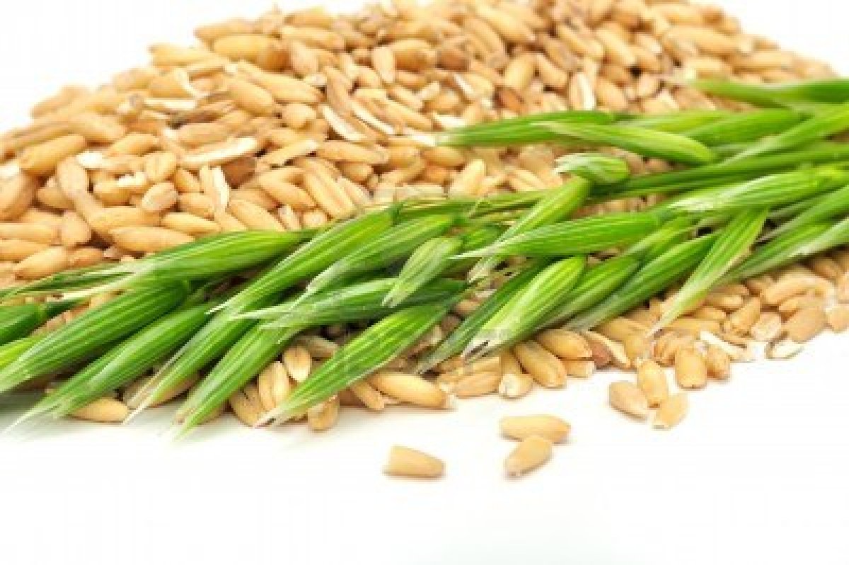 Aquí Medicina Natural: Avena