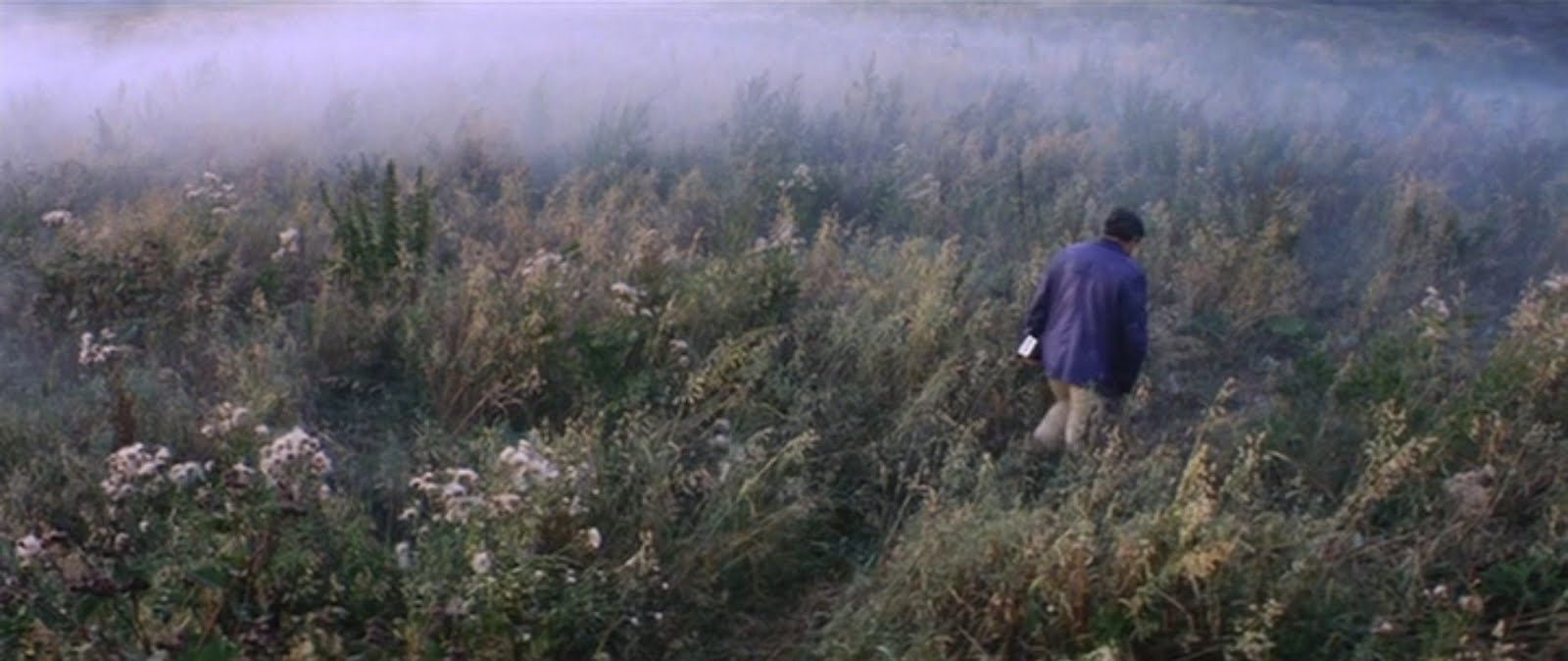 Dusty Somers: Solaris — The Criterion Collection