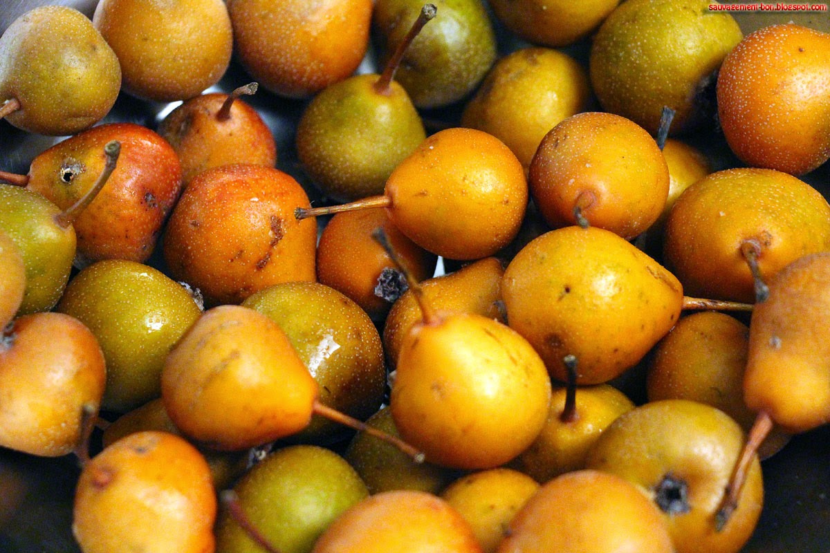 Sauvagement-Bon: P'tites poires
