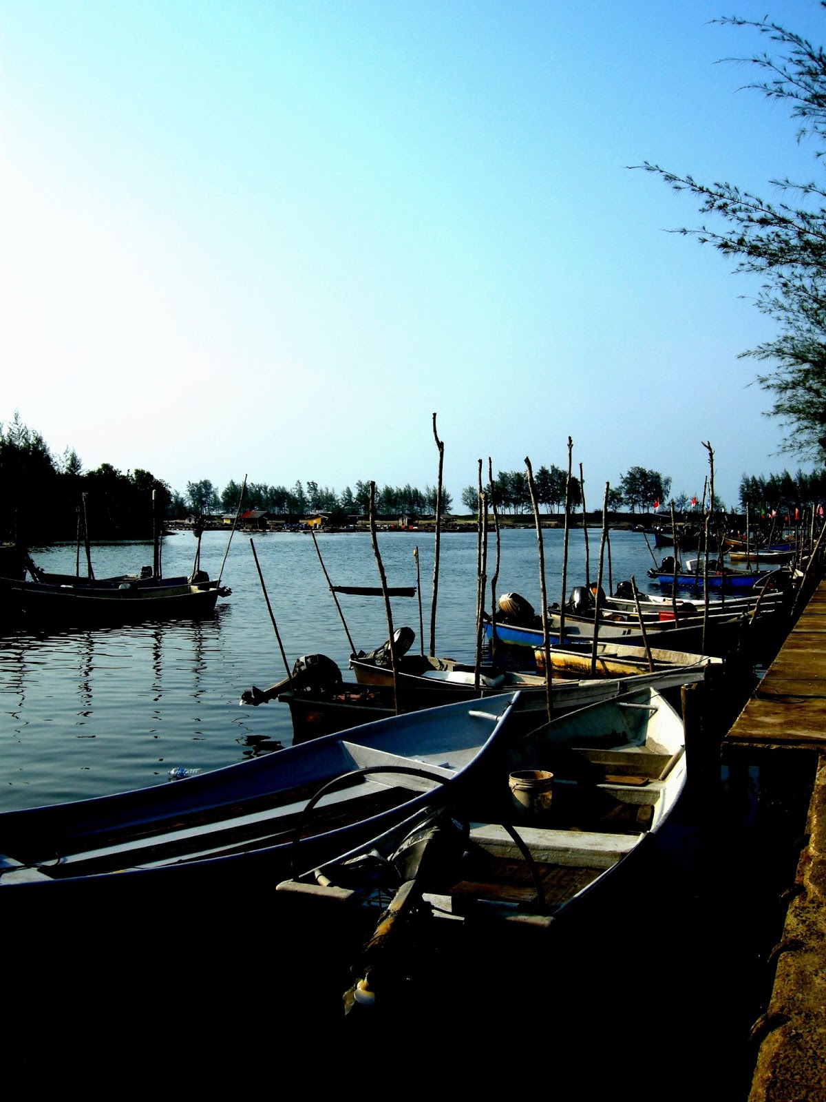 Portal Beautiful Terengganu: The wonderful of Setiu Wetland, Terengganu