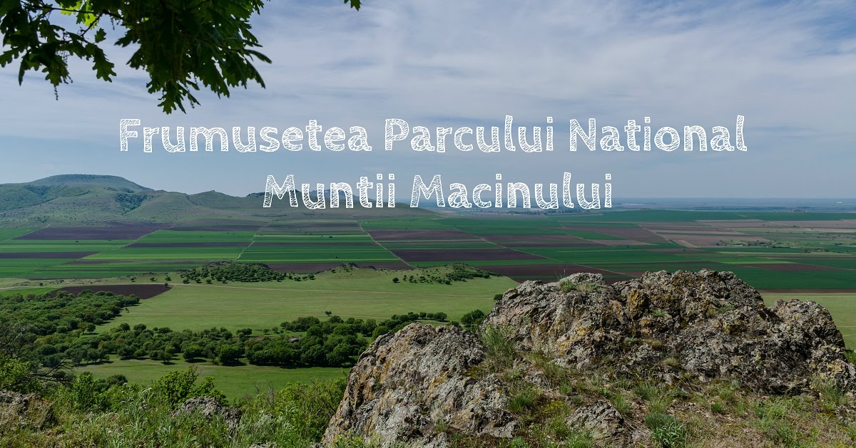 Muntii Macinului, o parte din farmecul Dobrogei