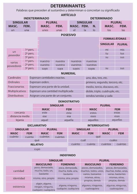 DETERMINANTES Y PRONOMBRES.
