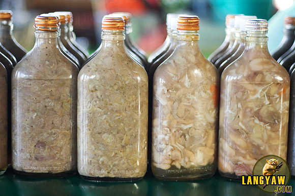 ming: Bantayan Island: Seafood Paradise