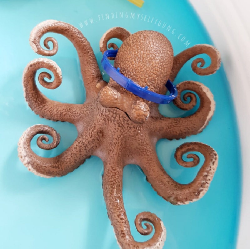 Rock Pool Small World with Coles Little Shop Mini Collectables ...