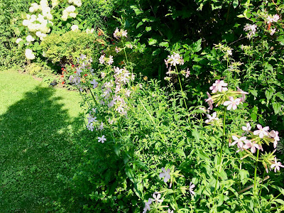 summer rhapsody summer rhapsody - Beth Kaplan