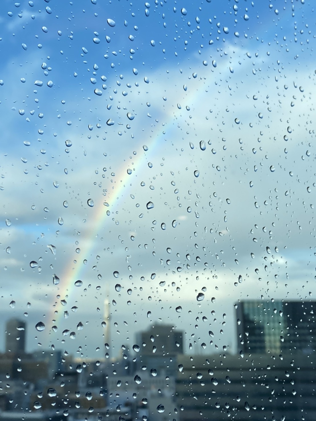 雨のあとの虹 日・本・の・か・え・り・か・た