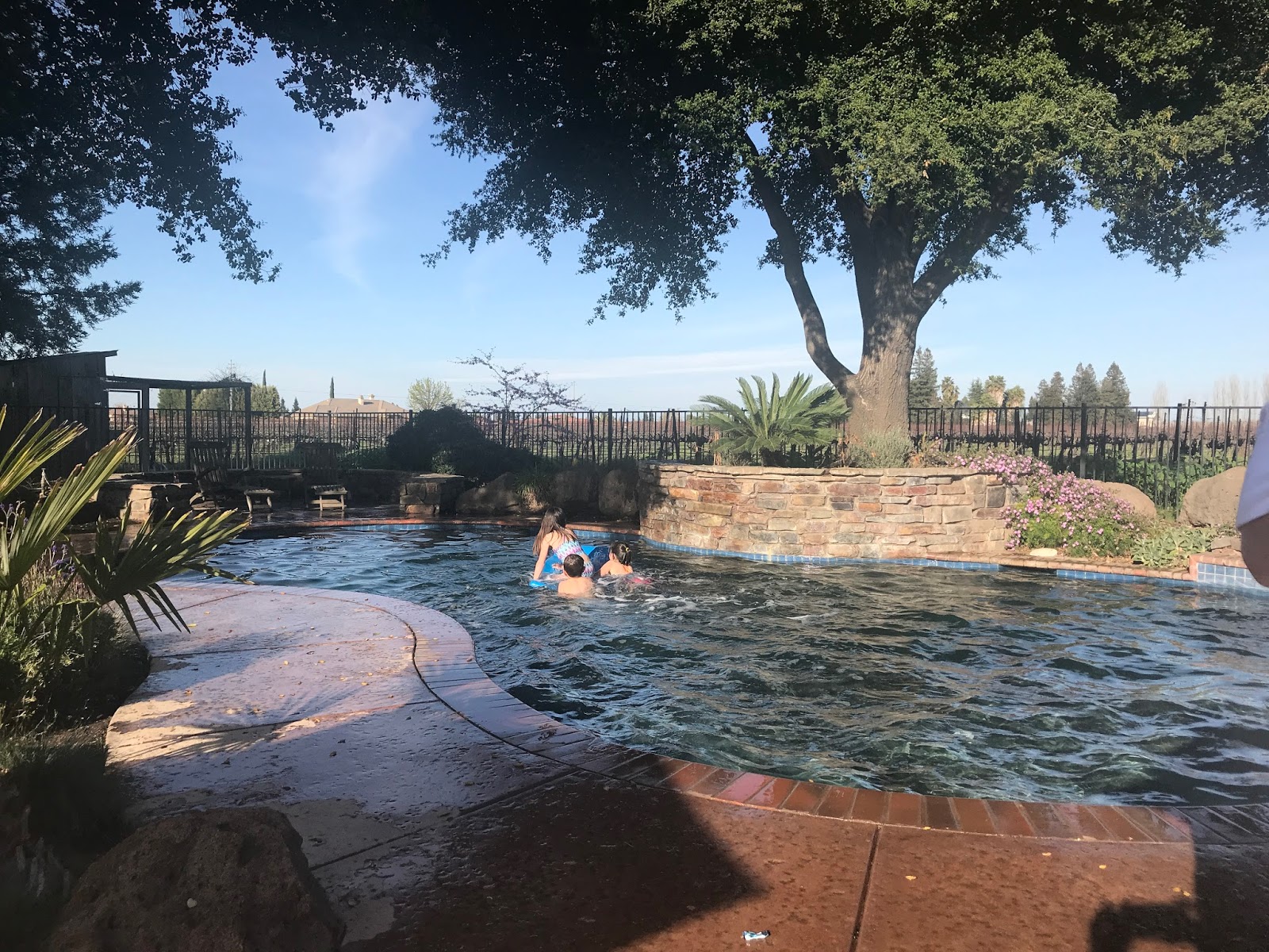 The Larson Lingo: Hello!