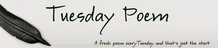 Beattie's Book Blog - unofficial homepage of the New Zealand book ...