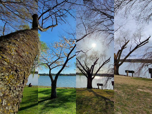 Ben s Journal Four Photos Four Truths ben-s-journal-four-photos-four-truths
