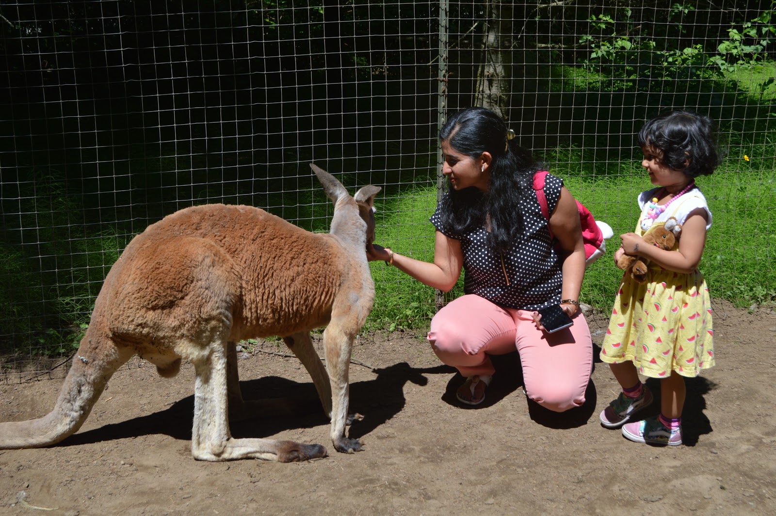 Outback Kangaroo Farm, Arlington