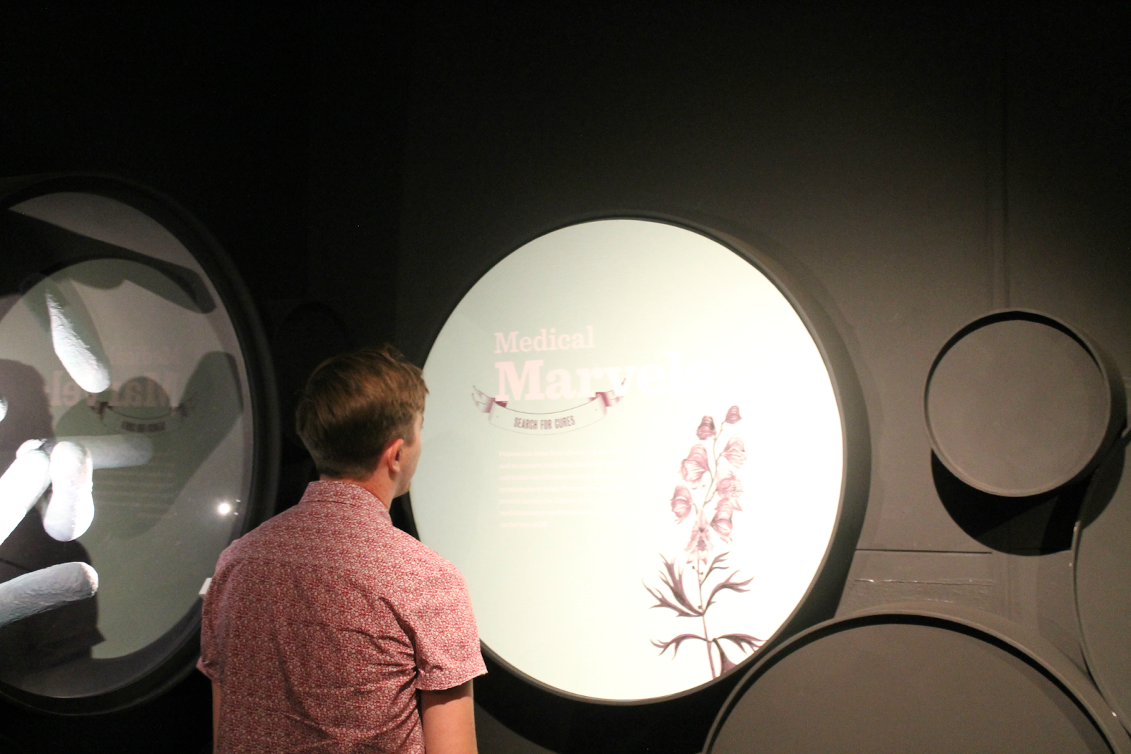 Review: The Power Of Poison Exhibition, London | The story of a girl ...