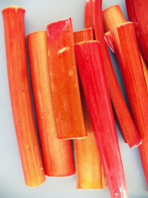 Rabarbergrød (Rhubarb Pudding) - Sid's Sea Palm Cooking