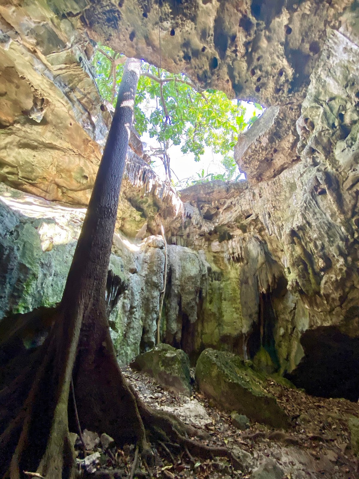 Merida | Mexico | Just Muddling Through Life