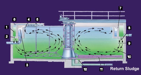 Let's Talk About Poo: PERIPHERAL FEED VS. CENTER FEED CLARIFIERS