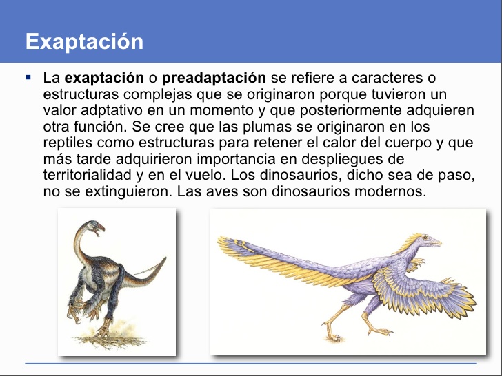 ¿Exaptación educativa? Otra senda de innovación del aprendizaje | Mikel ...