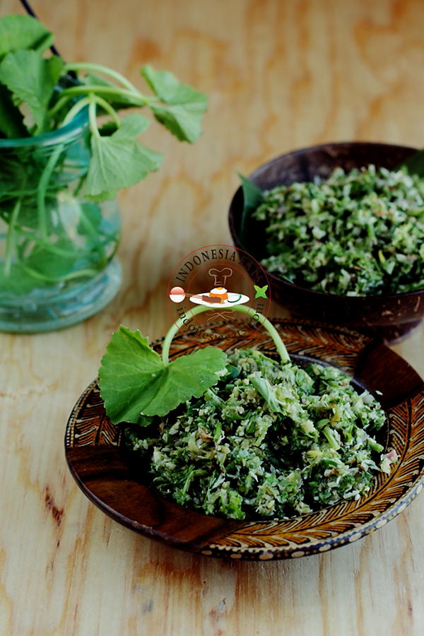 Kruiden & Specerijen: Aziatische waternavel (of Gotu Kola)