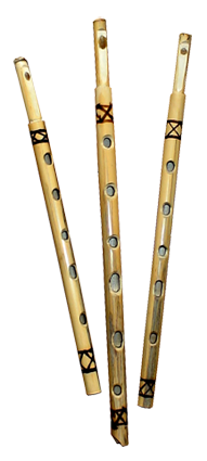 TRADICIONALNI INSTRUMENTI: DIPLICA
