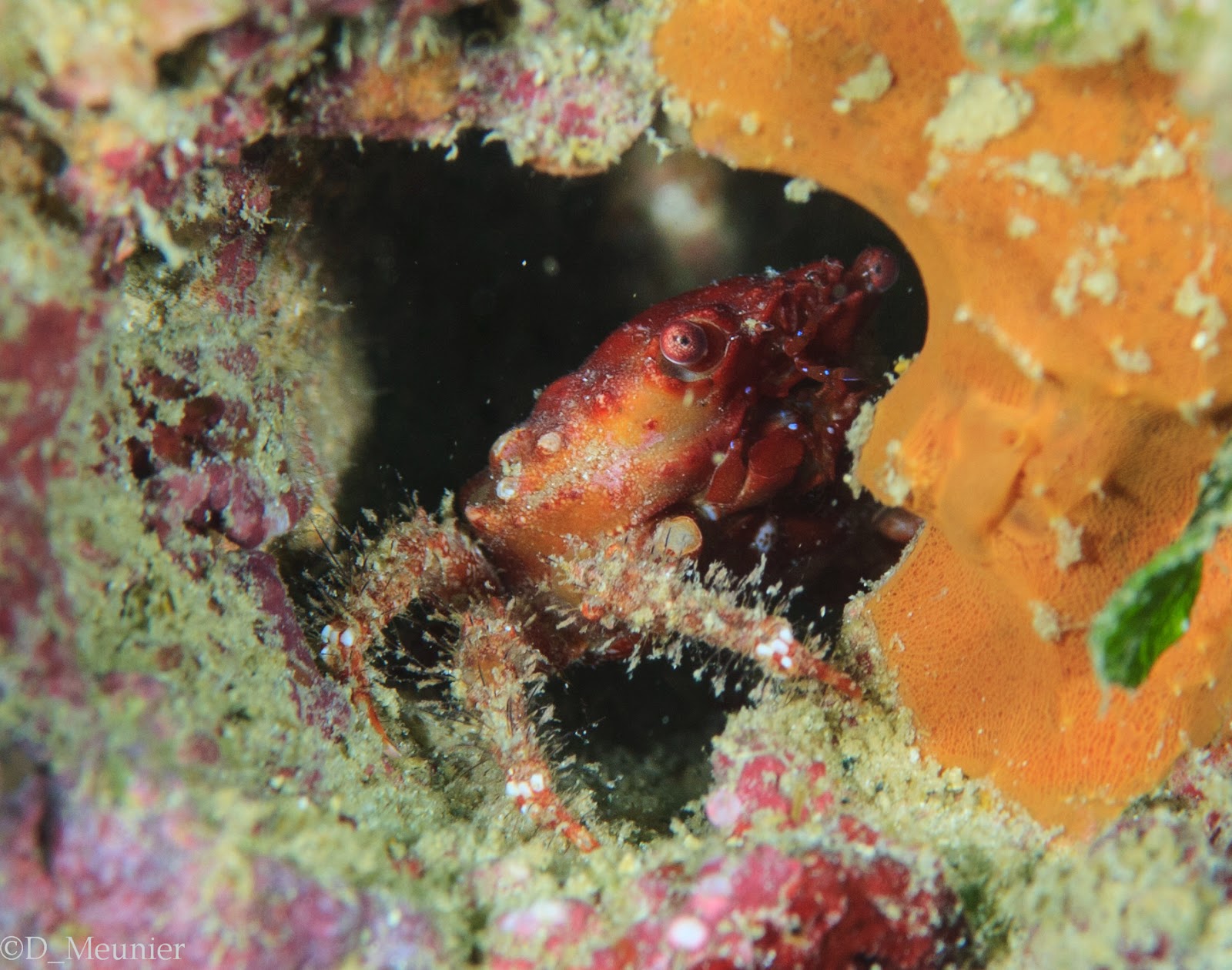 Some of my pictures by Darrell Meunier: Clearwater, flat seas and 80 ...