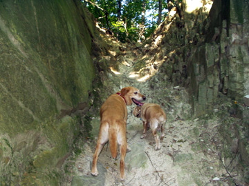 hikewithyourdog: Money Rocks County Park