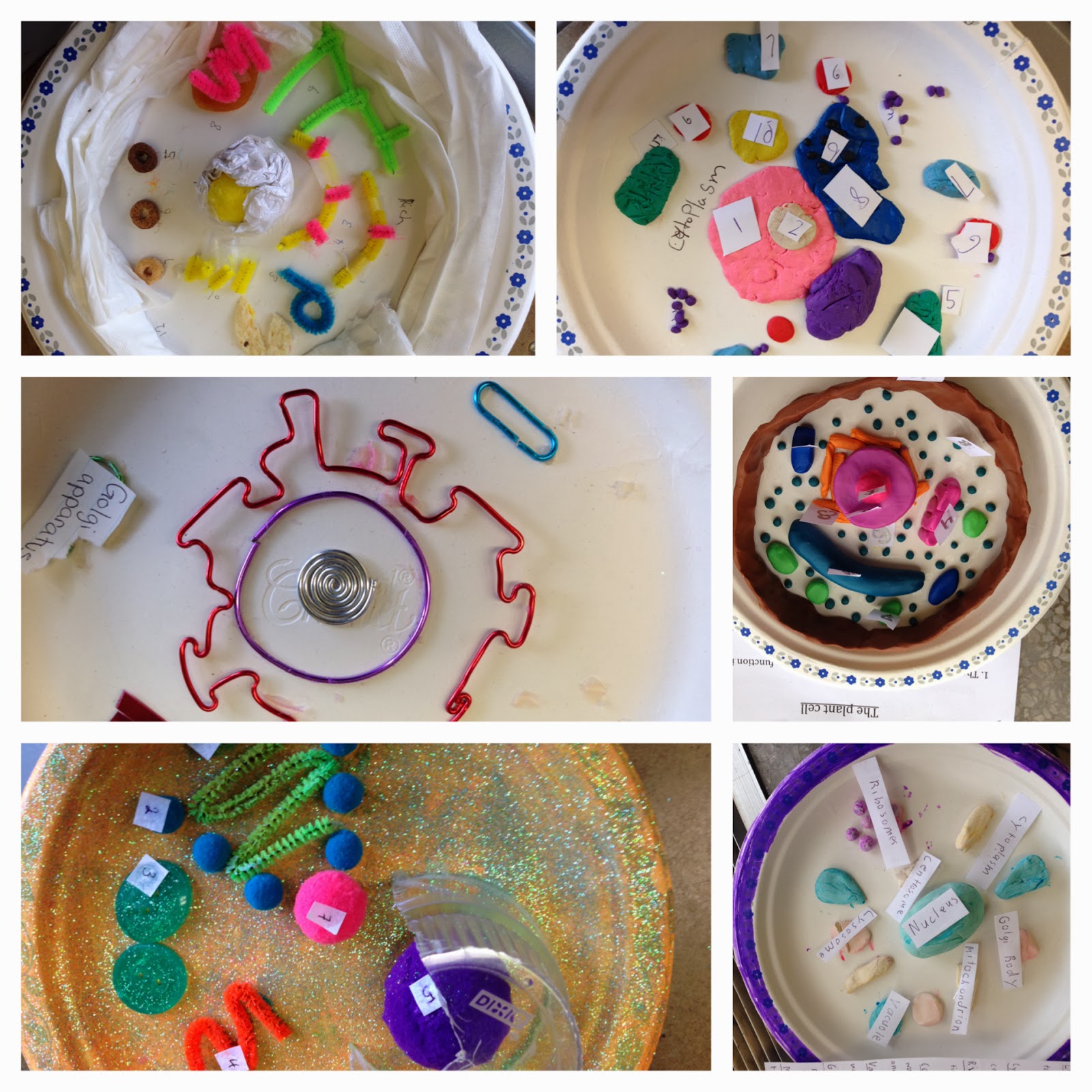 Ms. Zuberi Grade 8 Science 2013-2014: Cells: Culminating Activity