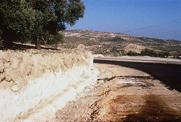 Ayuputrinedo: Jenis-jenis Tanah di Indonesia
