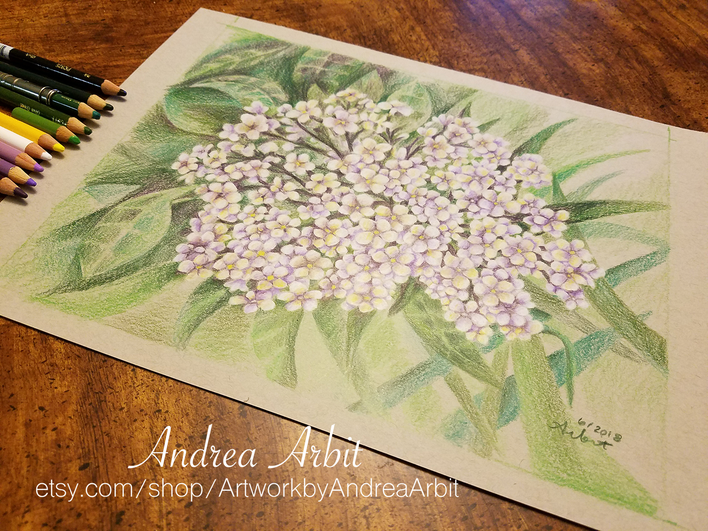 Until the Water Falls: "Prophecy" Colored Pencil Drawing