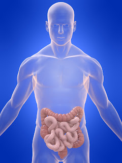 Colon Cleanse Diet | Colon Health Care Product Reviews: What Is Mean By ...