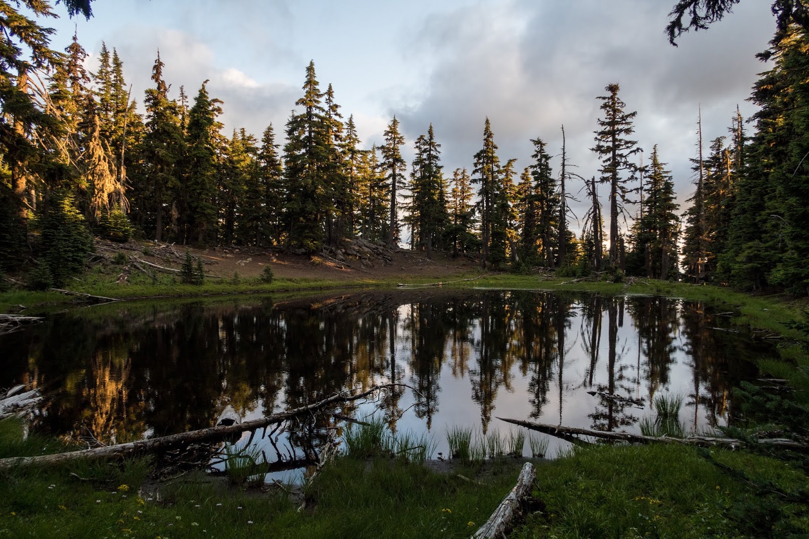 Eric's Hikes: Pacific Crest Trail: Santiam Pass to South Matthieu Lake