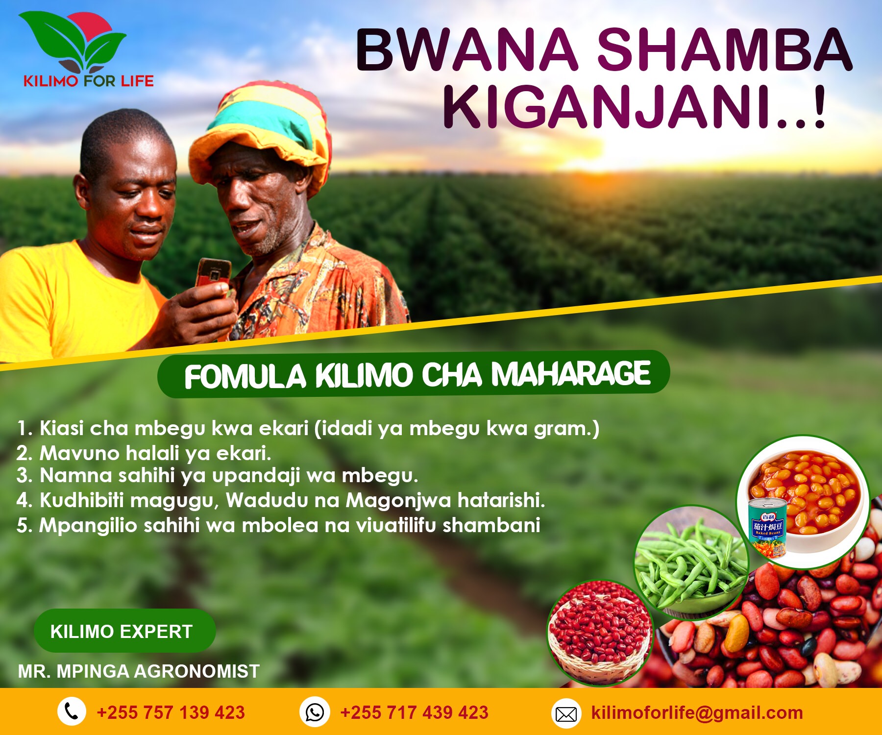 MUONGOZO MFUPI WA KILIMO CHA MAHARAGE