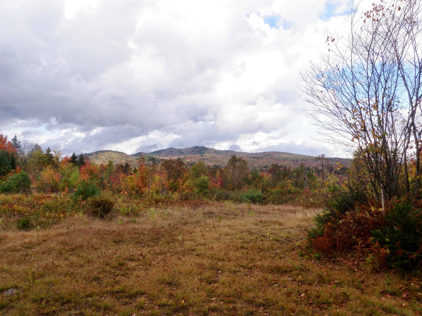 An Idiots Guide to Peakpagging and Hiking in New England: Gile State ...