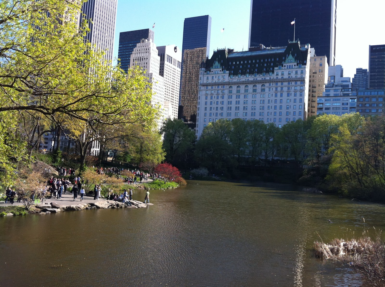 Central Park no início da Primavera - Central Park on Spring | Dicas de NY