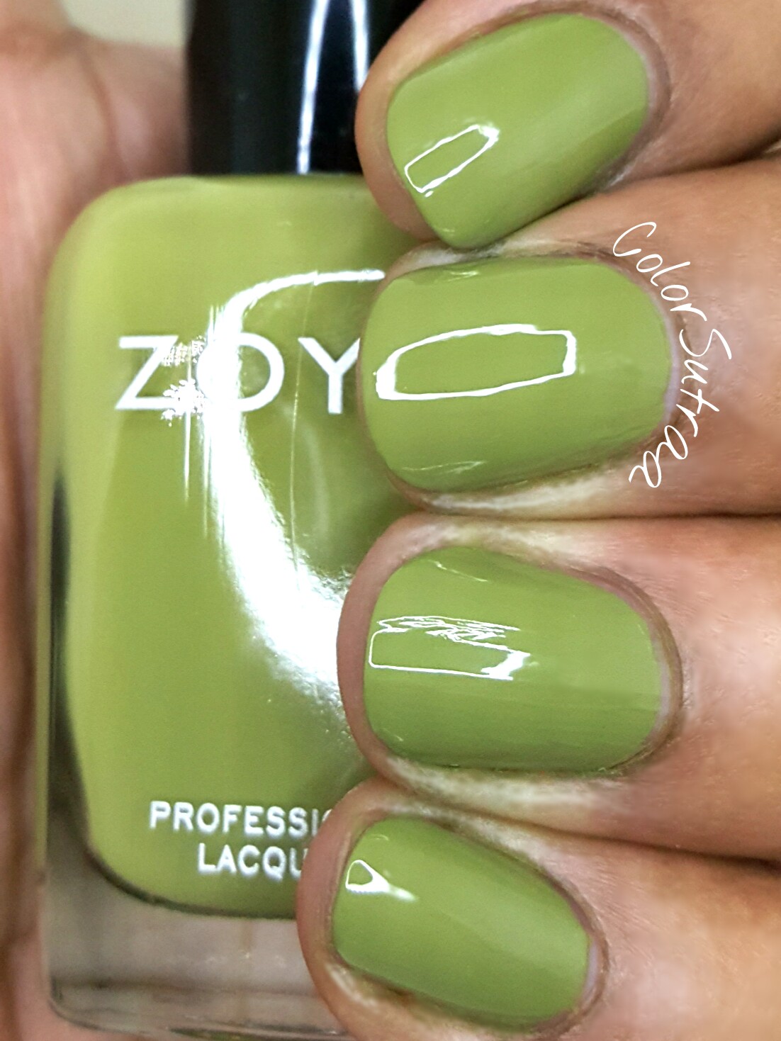 ZOYA NAIL POLISH Wanderlust collection: Swatches and Review - ColorSutraa