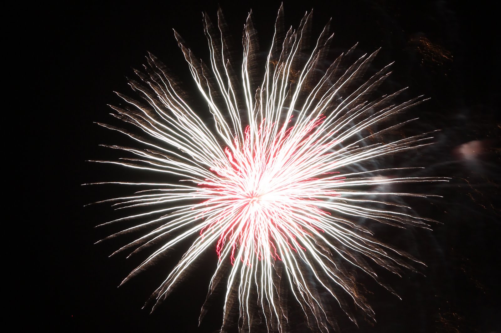 worrell wanderings: firecracker, firecracker~ boom, boom, boom!