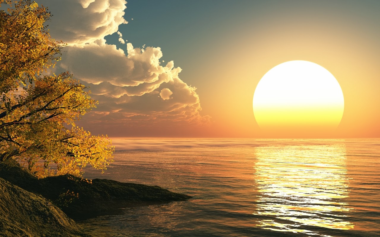 Luz do Sol - Jardim Design