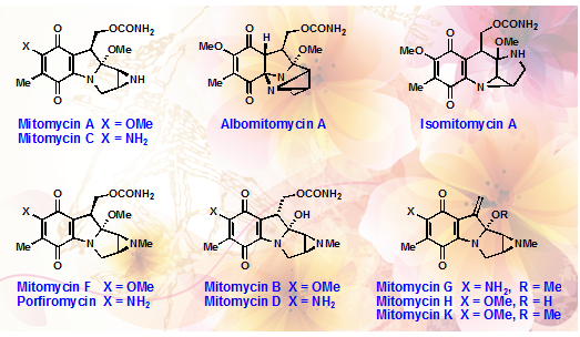 Journey: Mitomycin