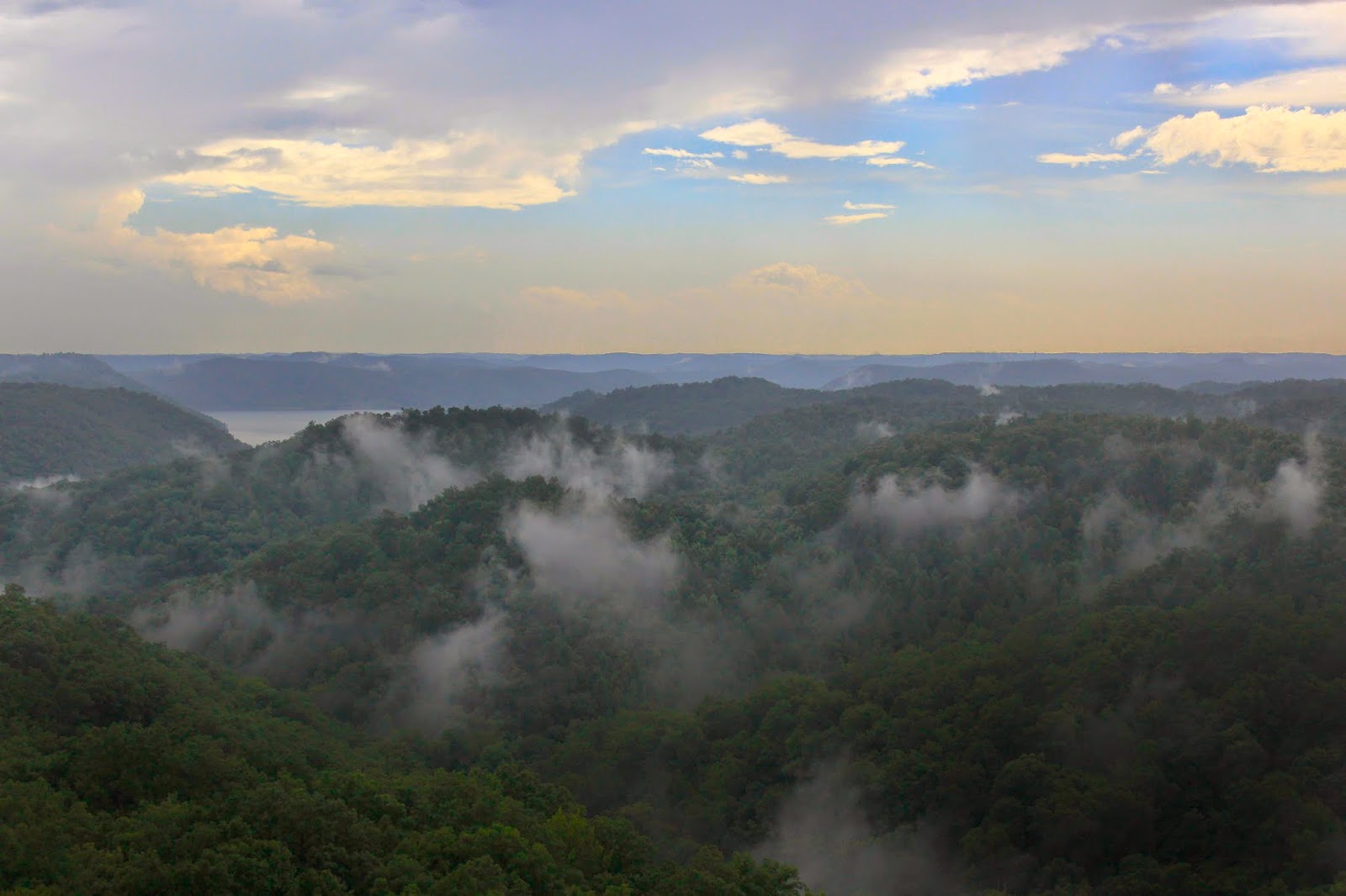 Beauty of the Bluegrass: Lockegee