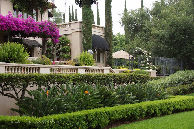 Mediterranean Garden Revisit