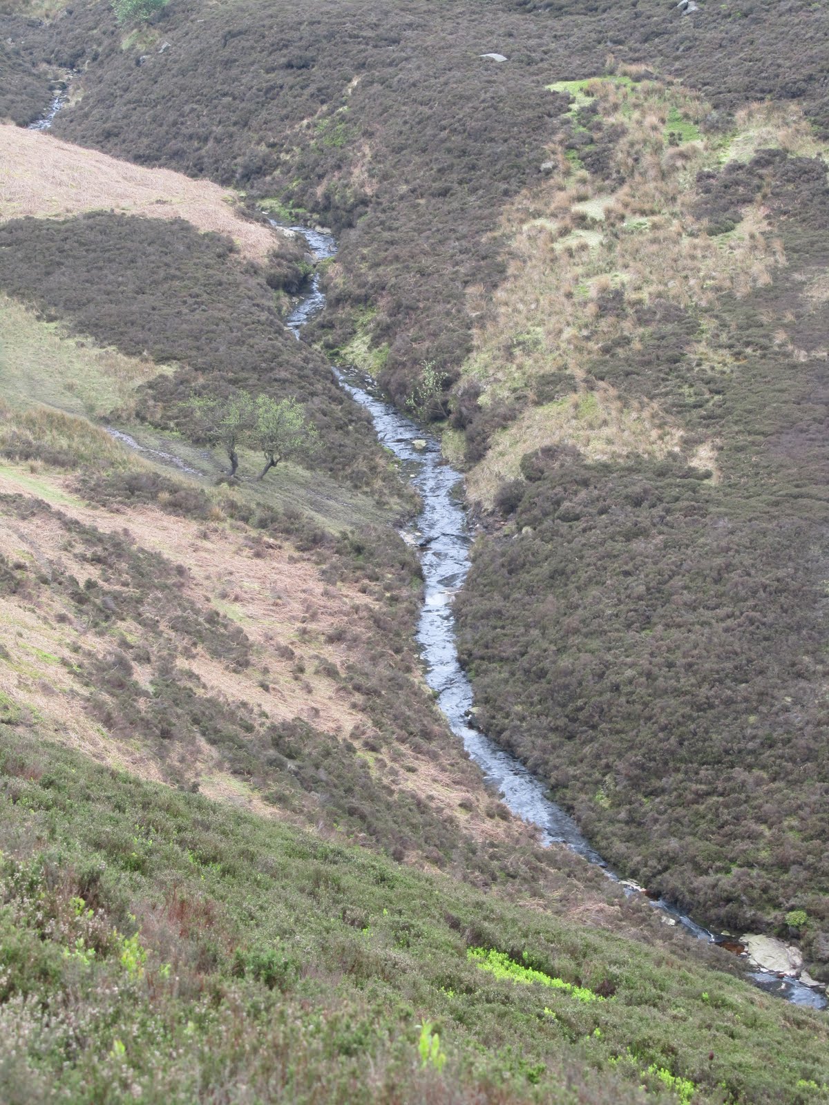 Little Sealed Packages: Plagioclimax