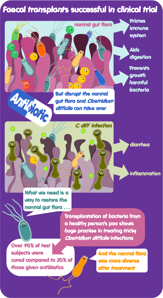germzoo: Faecal Transplants Through the Medium of Cartoons