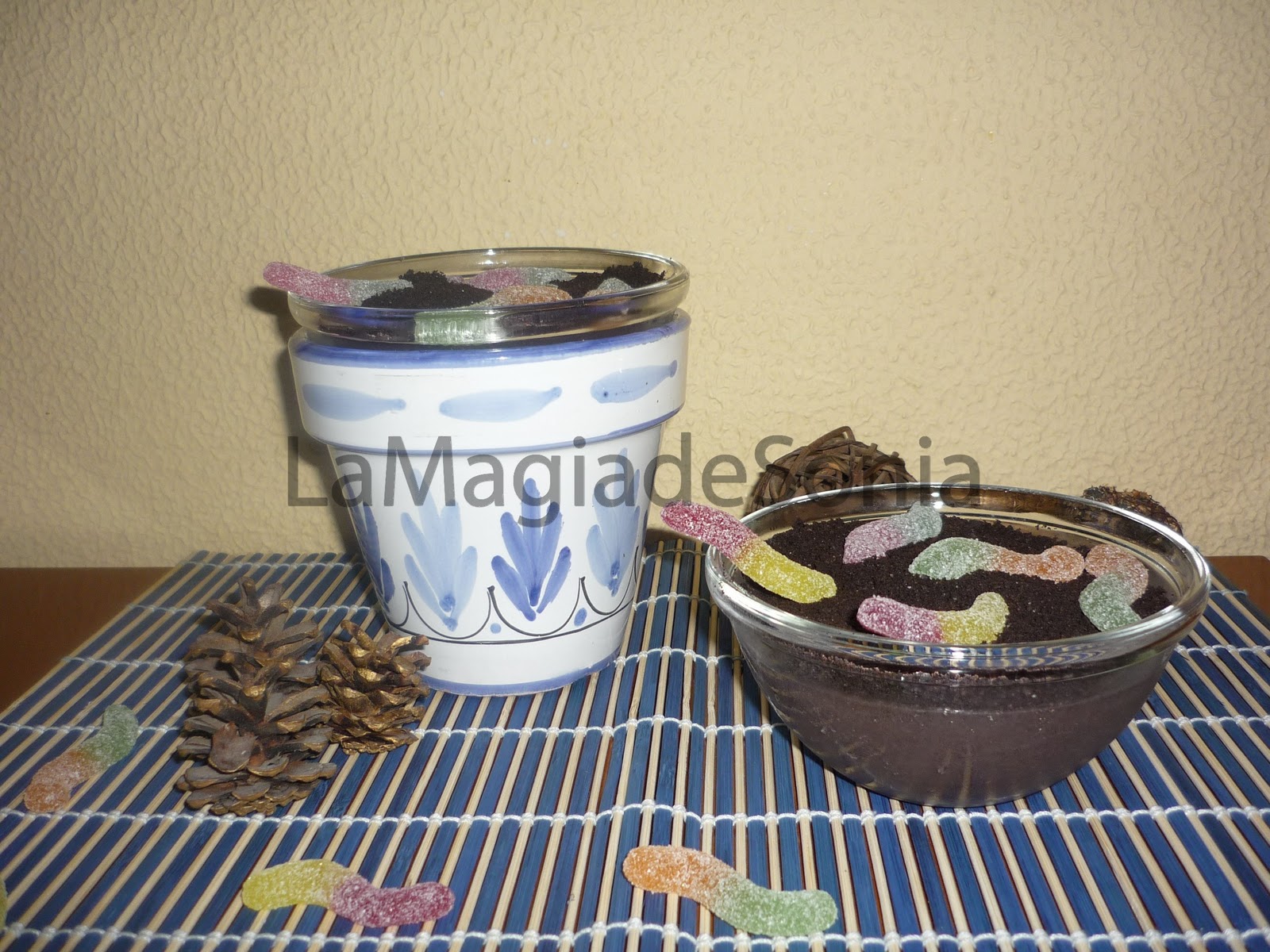 La Magia de Sonia: Macetas de Fango y Arena Con Gusanos.