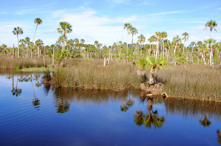 Desolation Florida: The Dixie Mainline and Shired Island