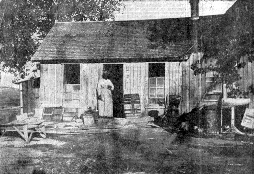 Meet Mary Fields, the First African American Woman to Become a U.S ...