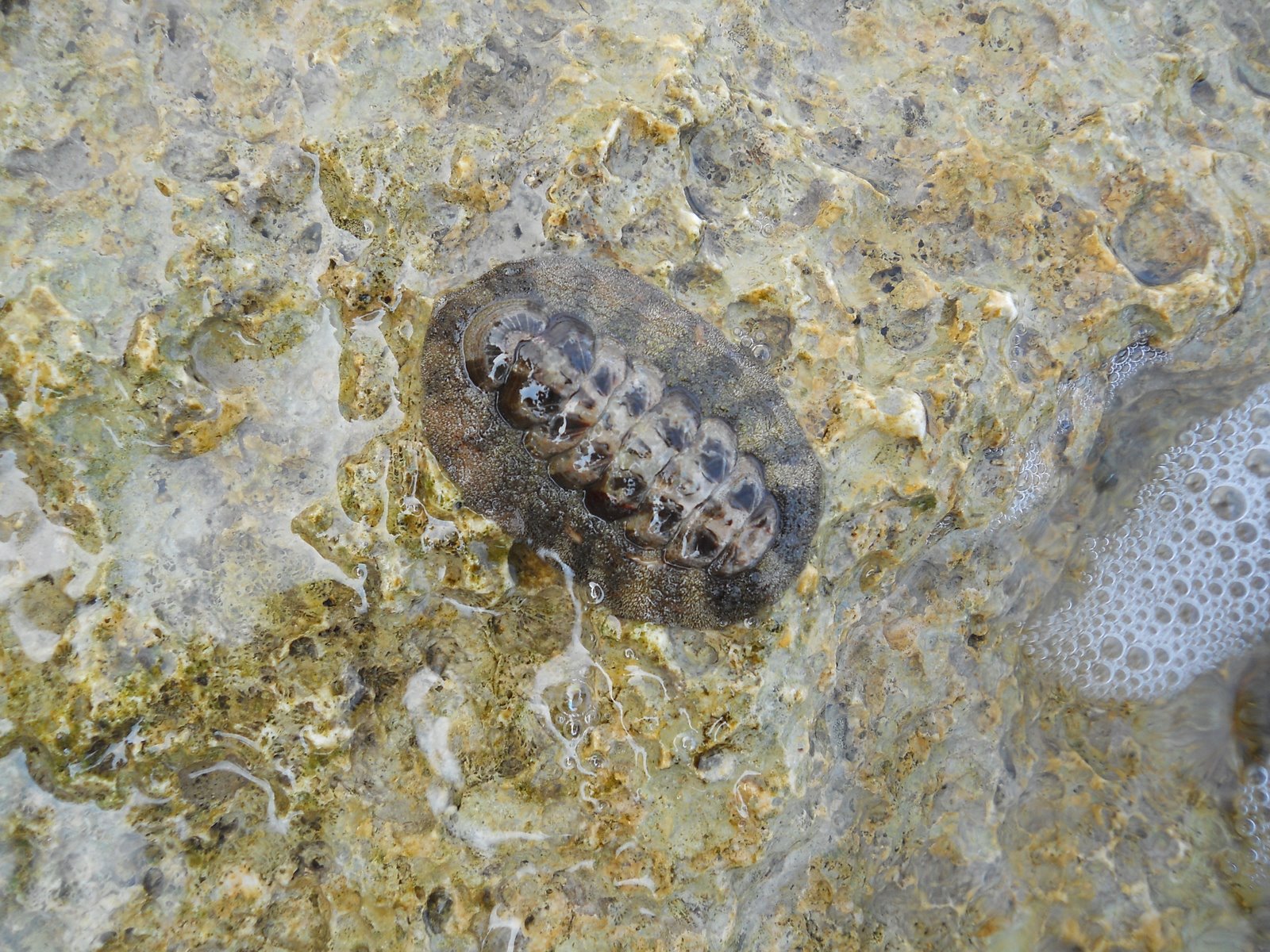 Wandering Weavers: Tengan Pier
