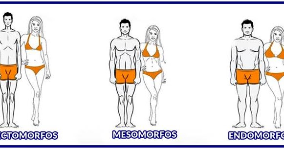 ¿Cómo saber si una persona es ectomorfa, mesomorfa o endomorfa?
