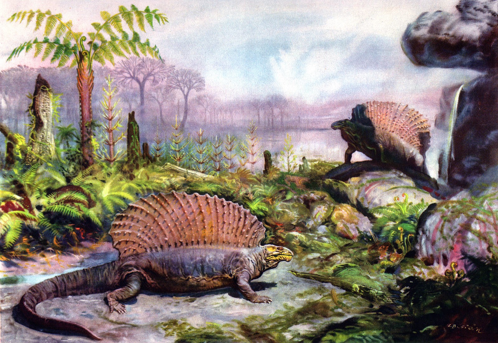 Zdeněk Burian: Edaphosaurus