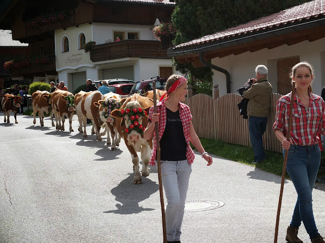 Antique Style: Fall Festival in the Alps: Party Til The Cows Come Home