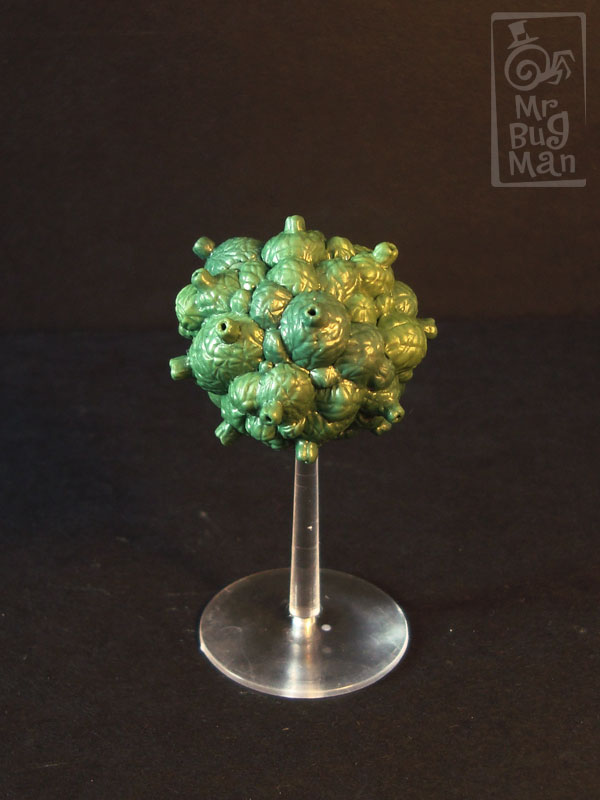 Mr. Bug Man: ASCOMOID