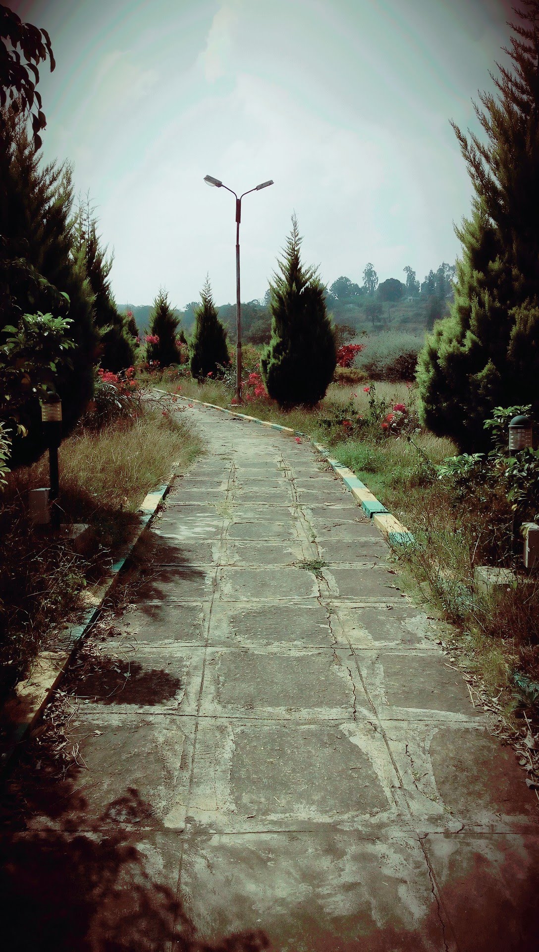 A Story To Tell.......