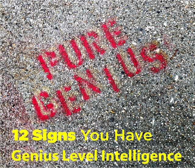 12 Signs You Have Genius Level Intelligence